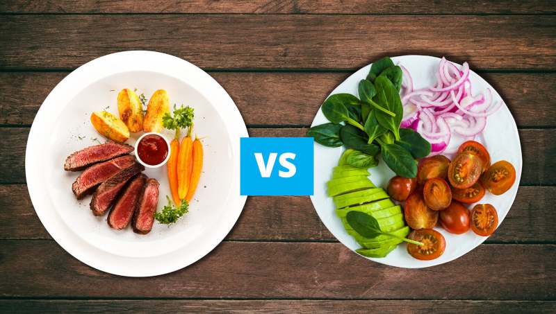 Plant-Based vs. Meat-Based Diets: Which One Do I Choose? – Basiligo